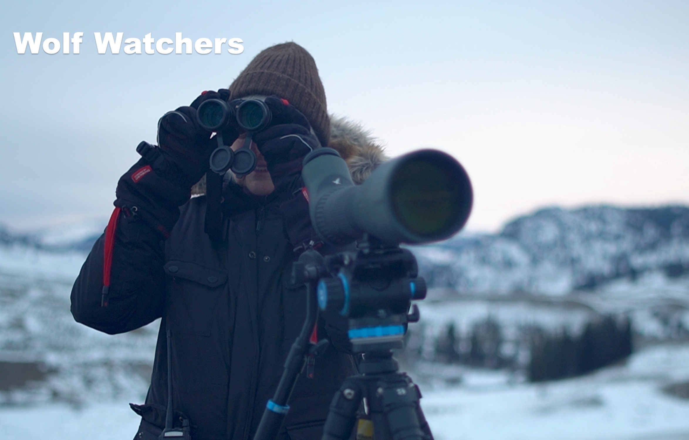 Wolf Watchers – OLIVIA BELLUCK